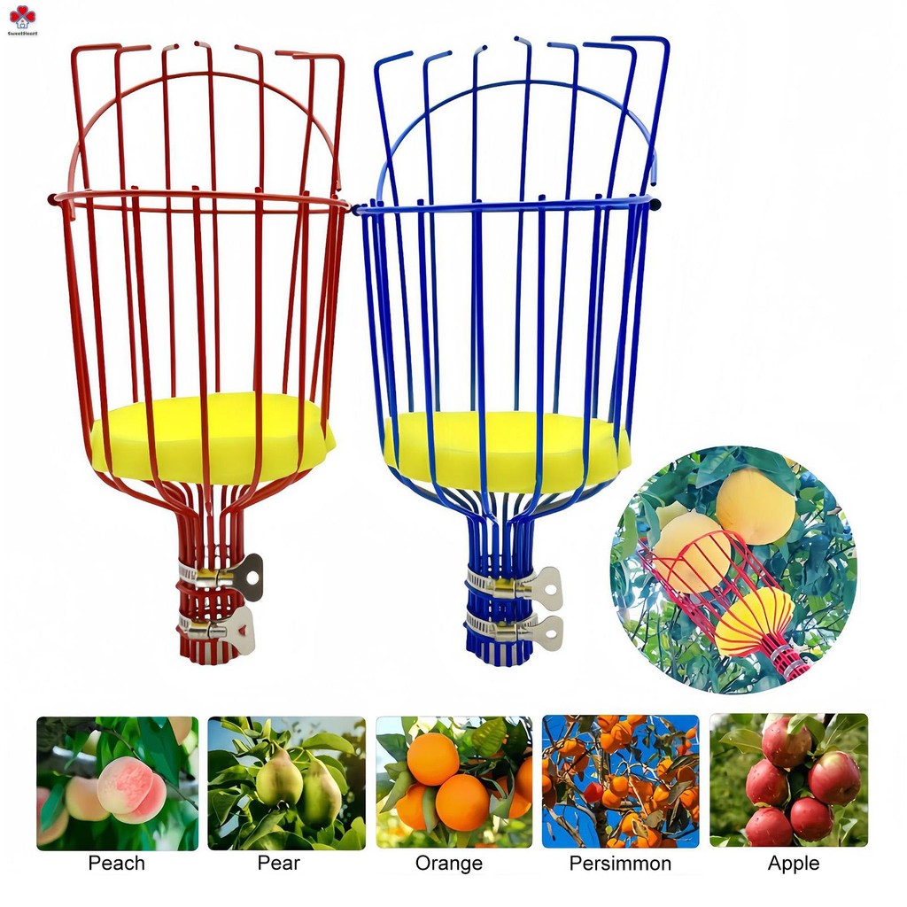 Universal Upper Air Fruit Picker Avoid Fruits Dropped Broke Design ...
