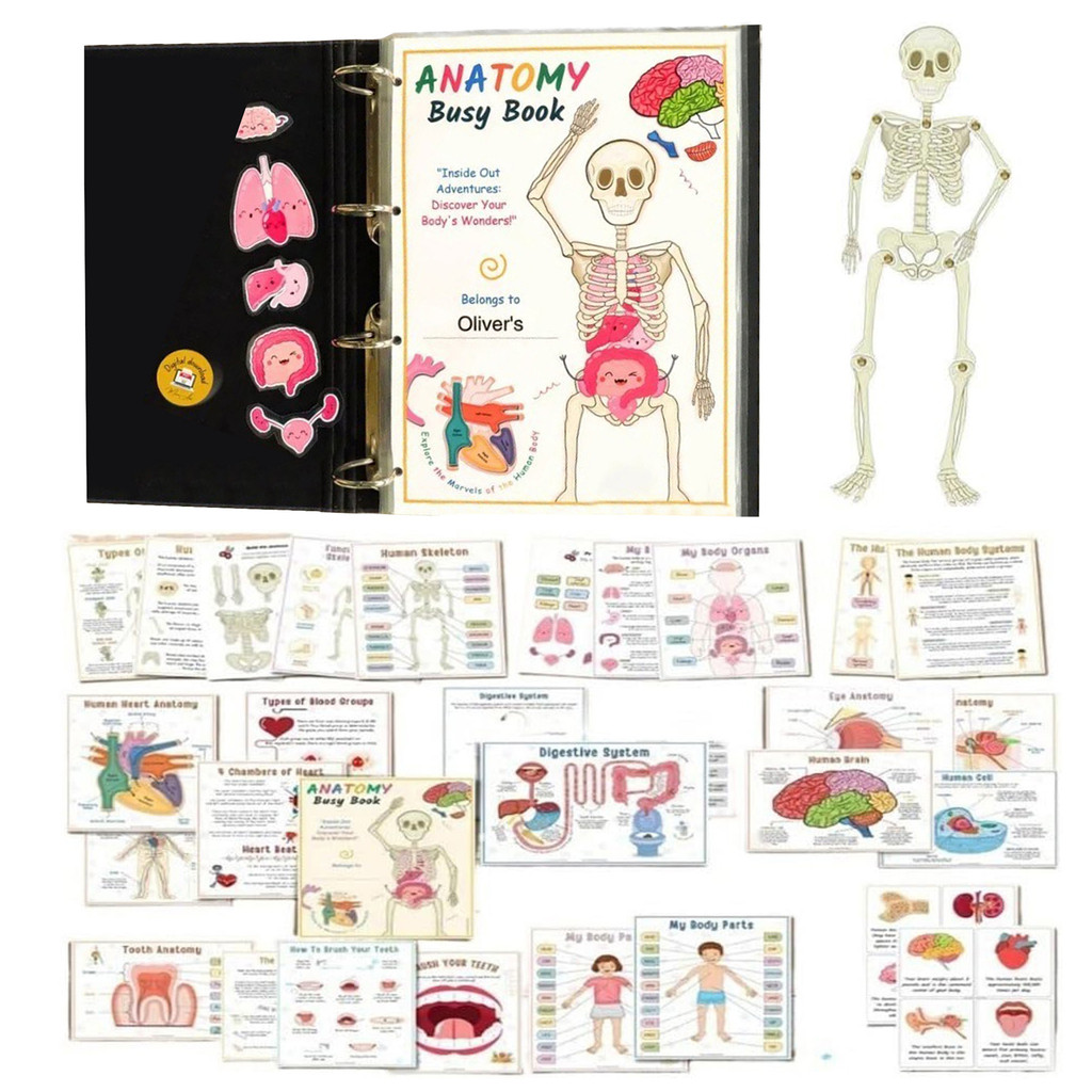 ALOT- 2Pcs/Set Human Anatomy Busy Book Educational Mental Health ...