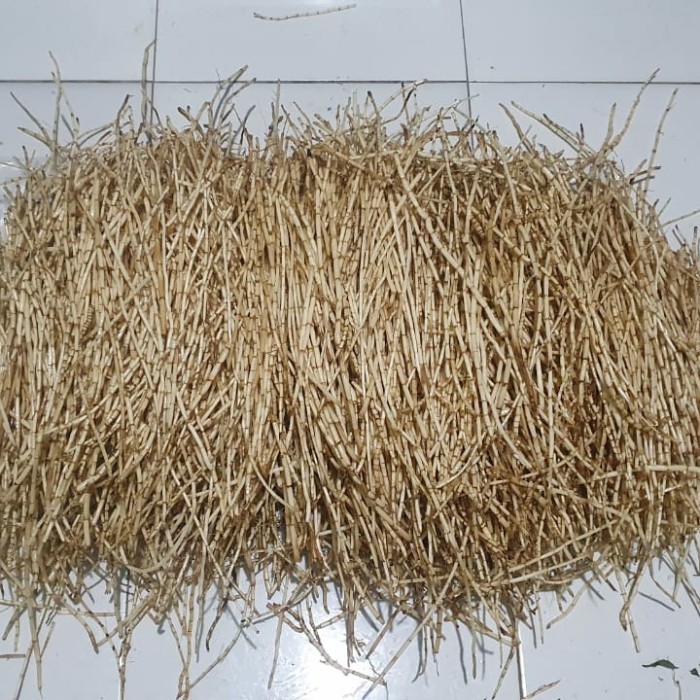 Fresh alang alang roots 1kg | Shopee Malaysia