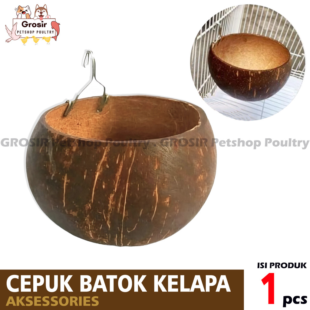 Cepuk Batok Coconut Shell Cepuk Container for Feeding and Drinking ...