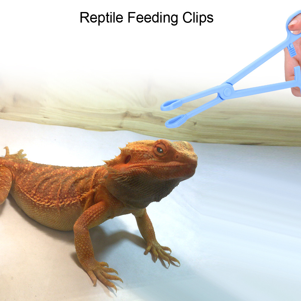 Rubikcube Plastic Reptile Terrarium Lizards Turtles Tongs Clips ...