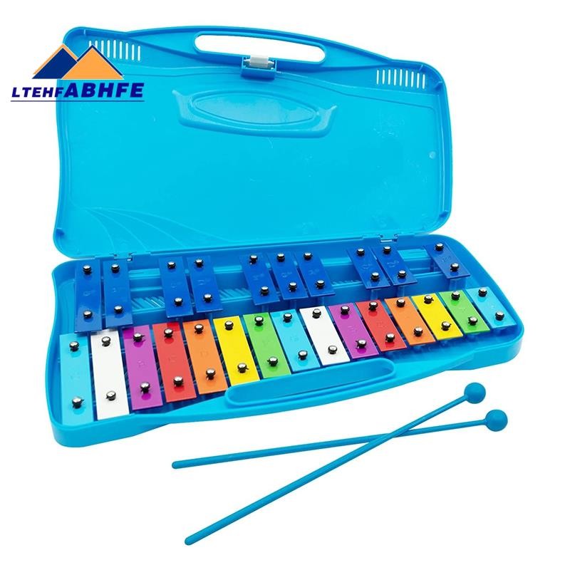 25 Note Xylophone with Case Colorful Musical Toy Perfectly Tuned ...