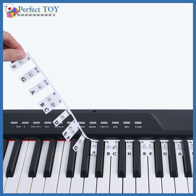 PMR Piano Keyboard Note Labels 88 Keys / 61 Keys Removable Piano Notes ...