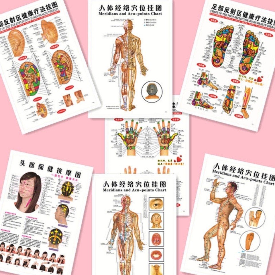 Human Body Meridian Massage Wall Chart Foot Hand Ear Reflection Area ...