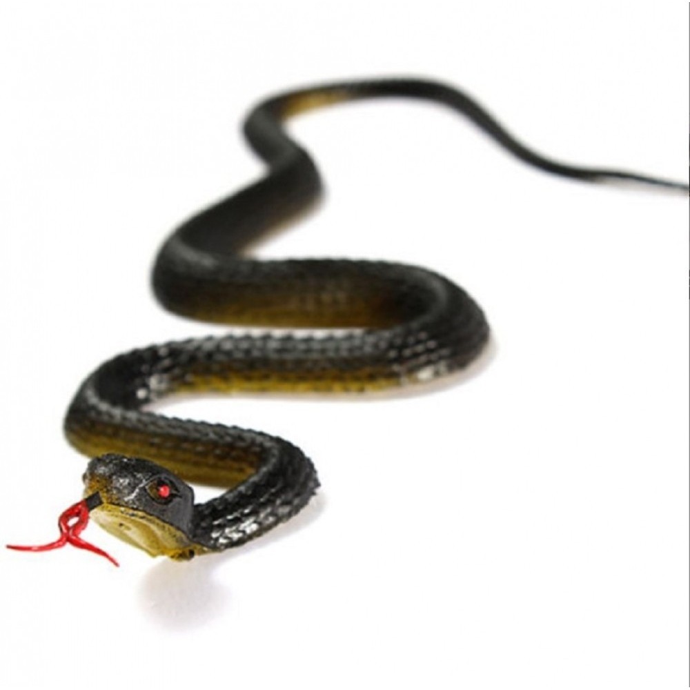 Fake Snake Trick April Fool\'s Black Lifelike Ornament Reduce Pressure ...