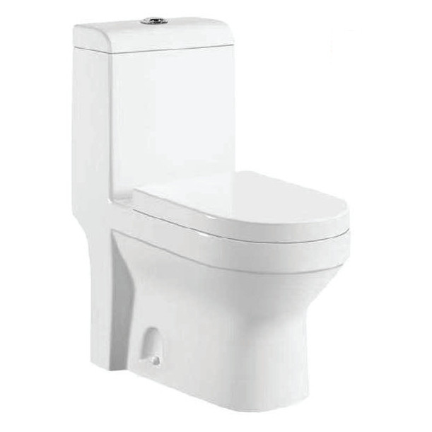 Saniware One Piece WC Toilet Bowl S-Trap Wash Down Water Closet 10 Inch ...