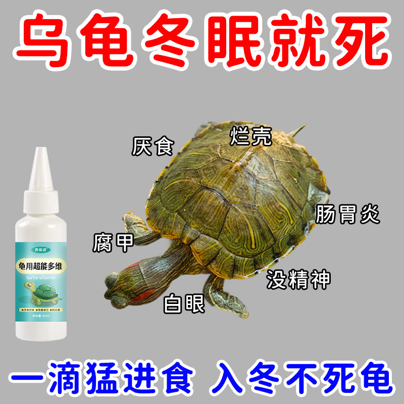 Turtles Use Electrolyzed Multi-Dimensional Anorexic Refuse Eating ...