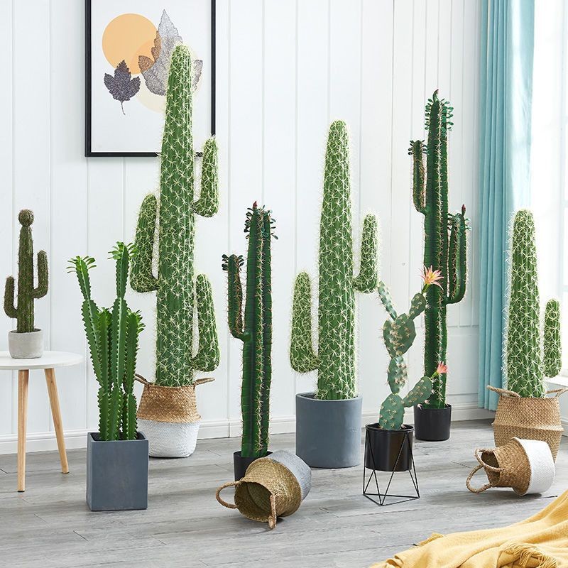Kaktus, tanaman hijau Nordik besar, bunga palsu dalaman bonsai ...