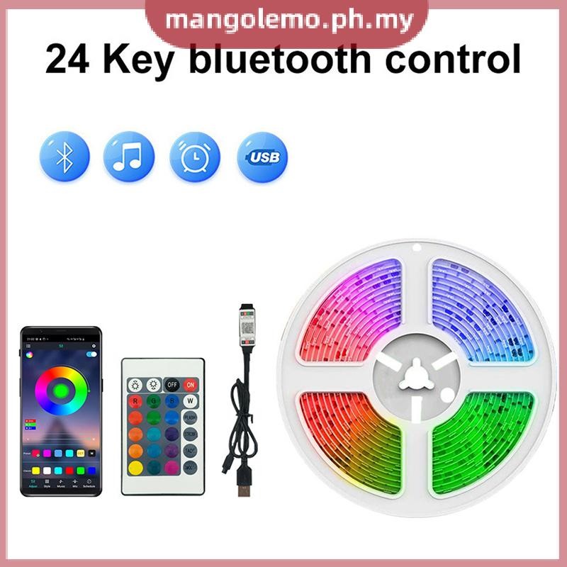 [MANGO] Led Strip Rgb Low-voltage Lamp With Ws2812b Happy Horse ...