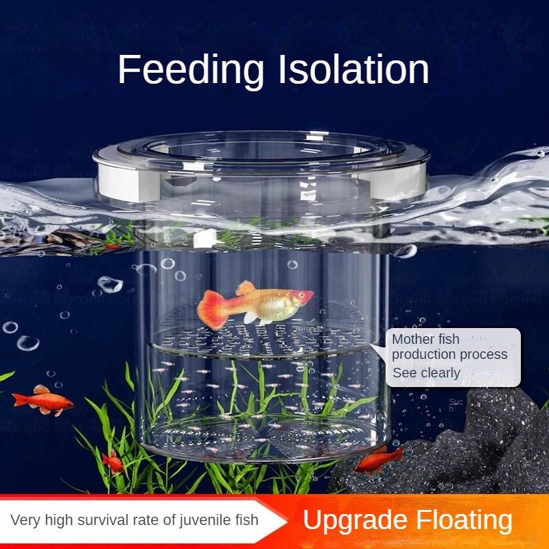Fish Suspension Floating Incubation Box Isolation Box Breeding Can ...
