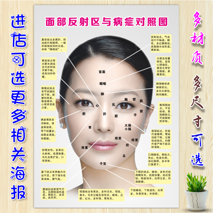 Beauty Salon Wall Chart Facial Scraping Care Tendon Reflection Area ...