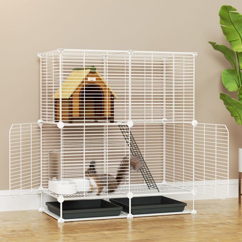 Honey Glider Demon King Squirrel Breeding Cage Red-Bellyed Flying ...