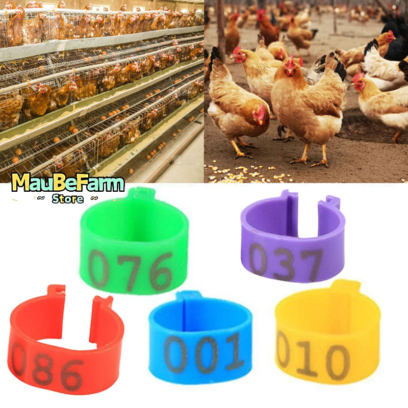 50Pcs/100Pcs Chicken Foot Clip Rings Inner Diameter 16mm 001-100 ...
