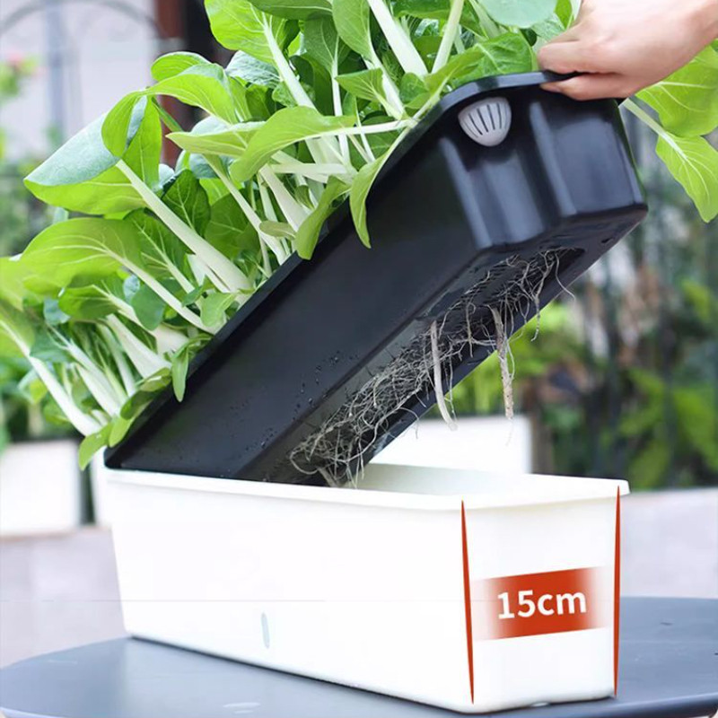 Narrow Window Sill Planting Basin Balcony Vegetable Planting Special ...