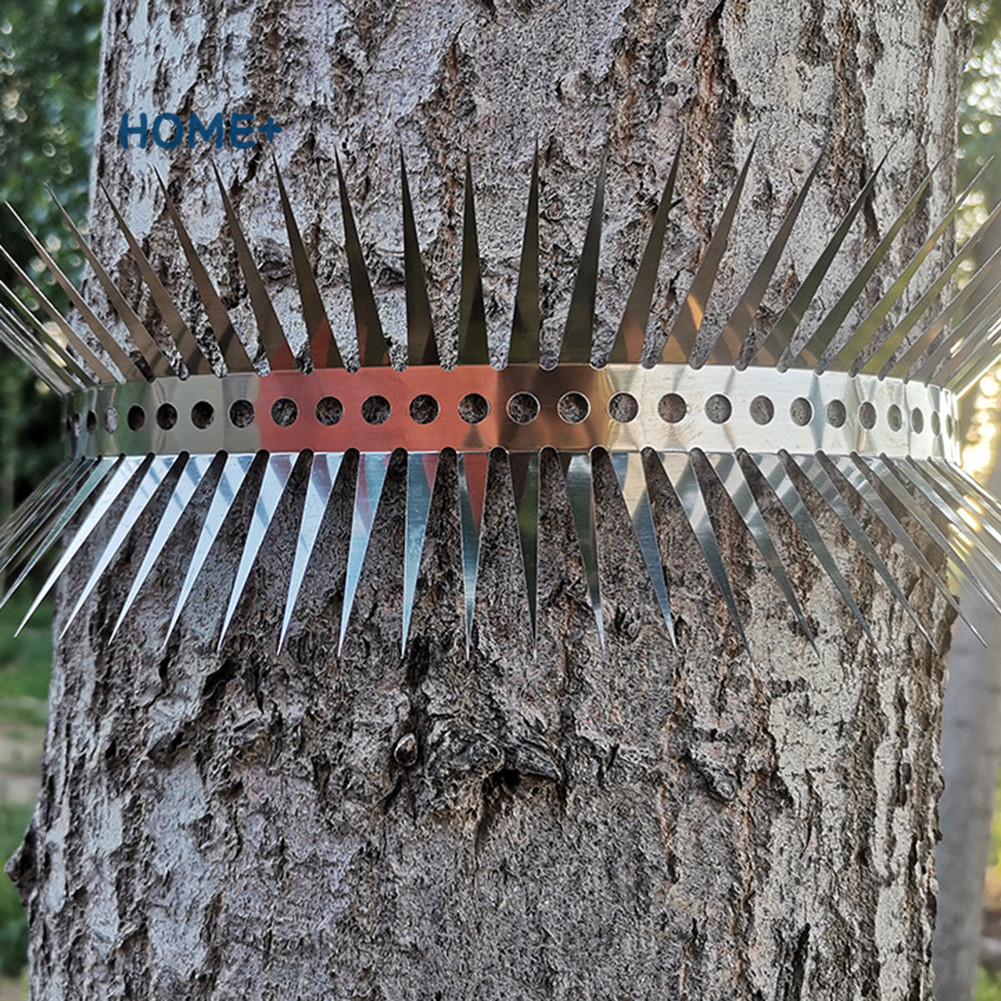 3 Meters Stainless Steel Anti Climbing Spikes Frighten Animals Anti ...