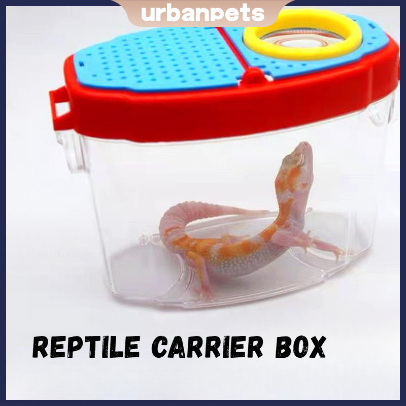 Reptile Breeding Box Snake Turtle Spider Leopard Gecko Lizard Insect ...