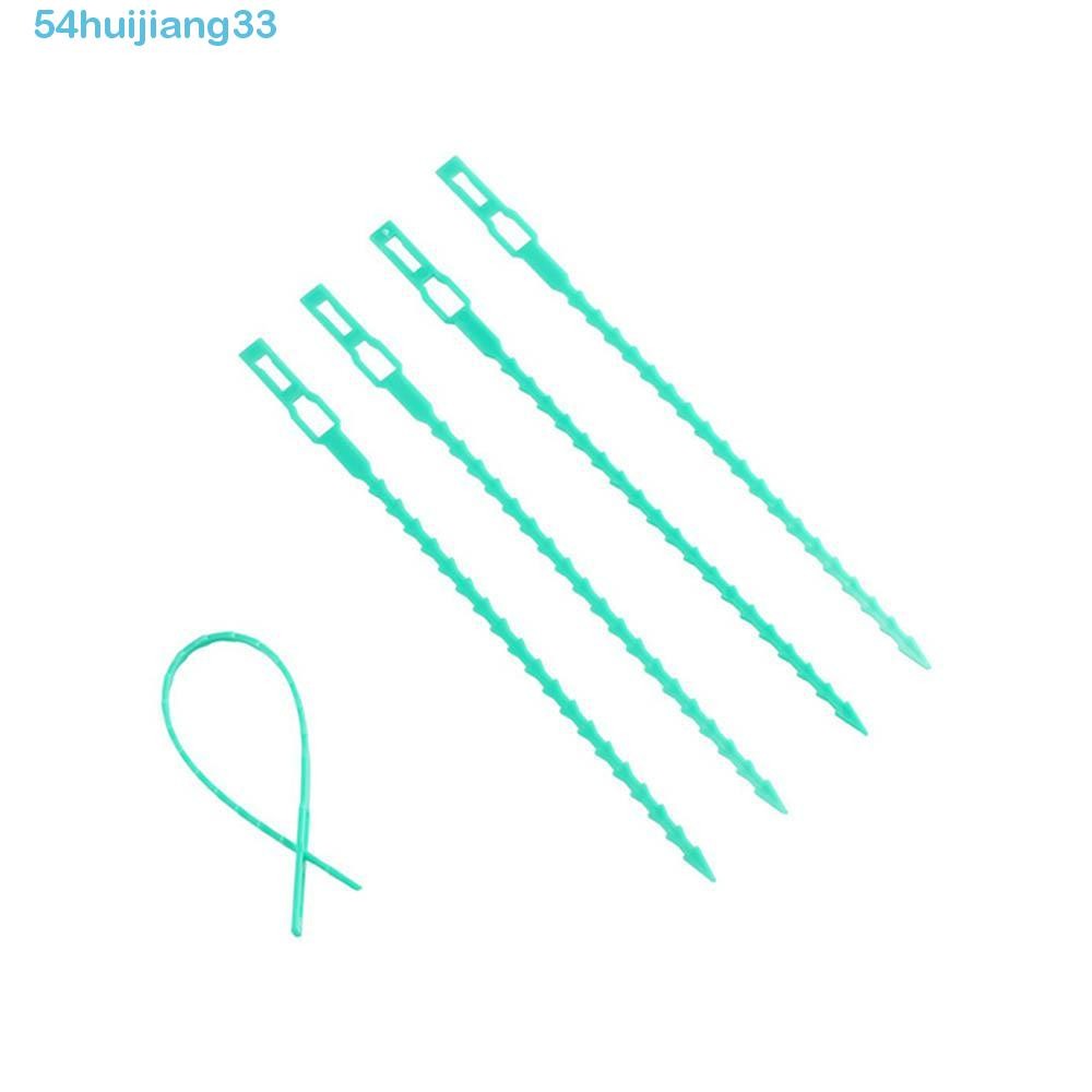 HUIJIANG Cable Ties Band Locking Reuse Adjustable Growth Tree Garden ...