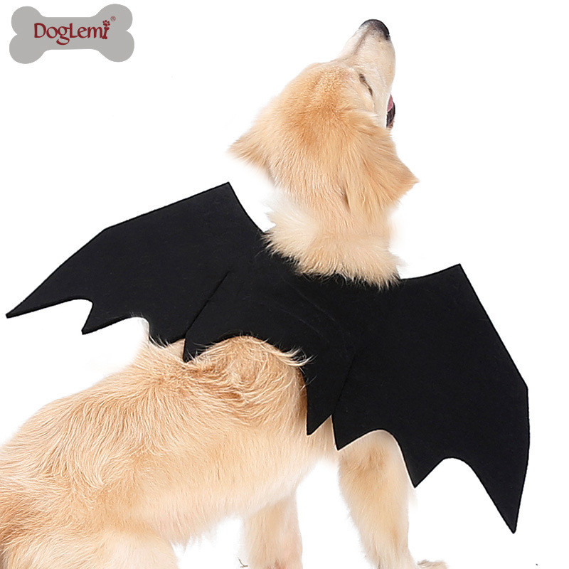 Creative cat bat wings transform costumes | Shopee Malaysia