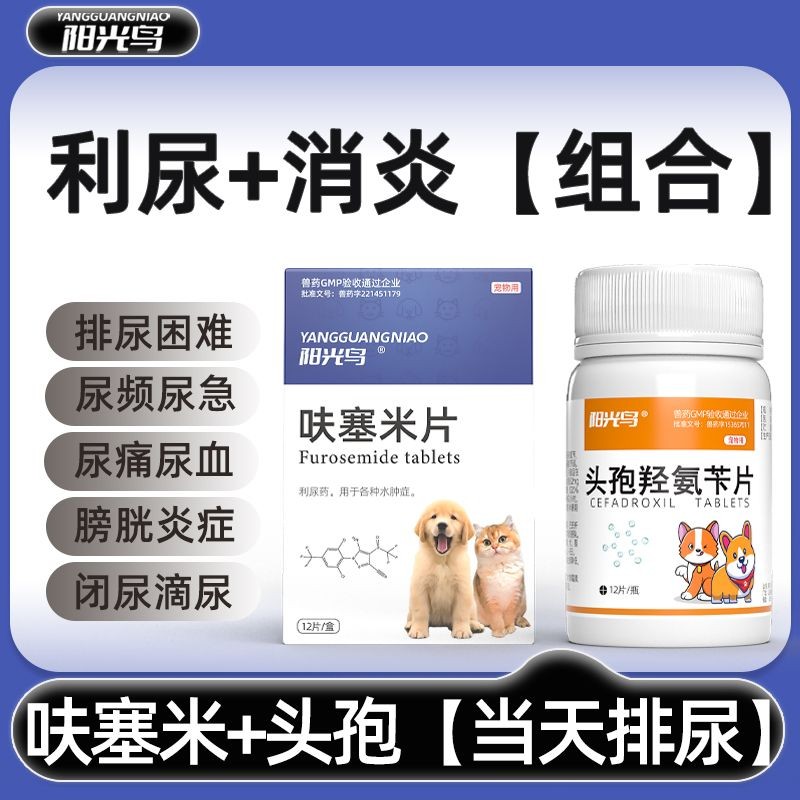 Pet hematuria and urinary tract urinary infection pet stones dog ...