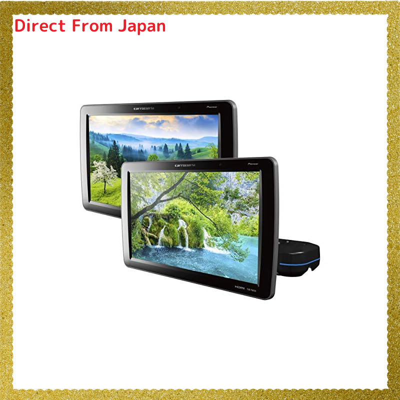 Pioneer Private Monitor TVM-PW930T 9-inch WVGA Set of 2 units High ...
