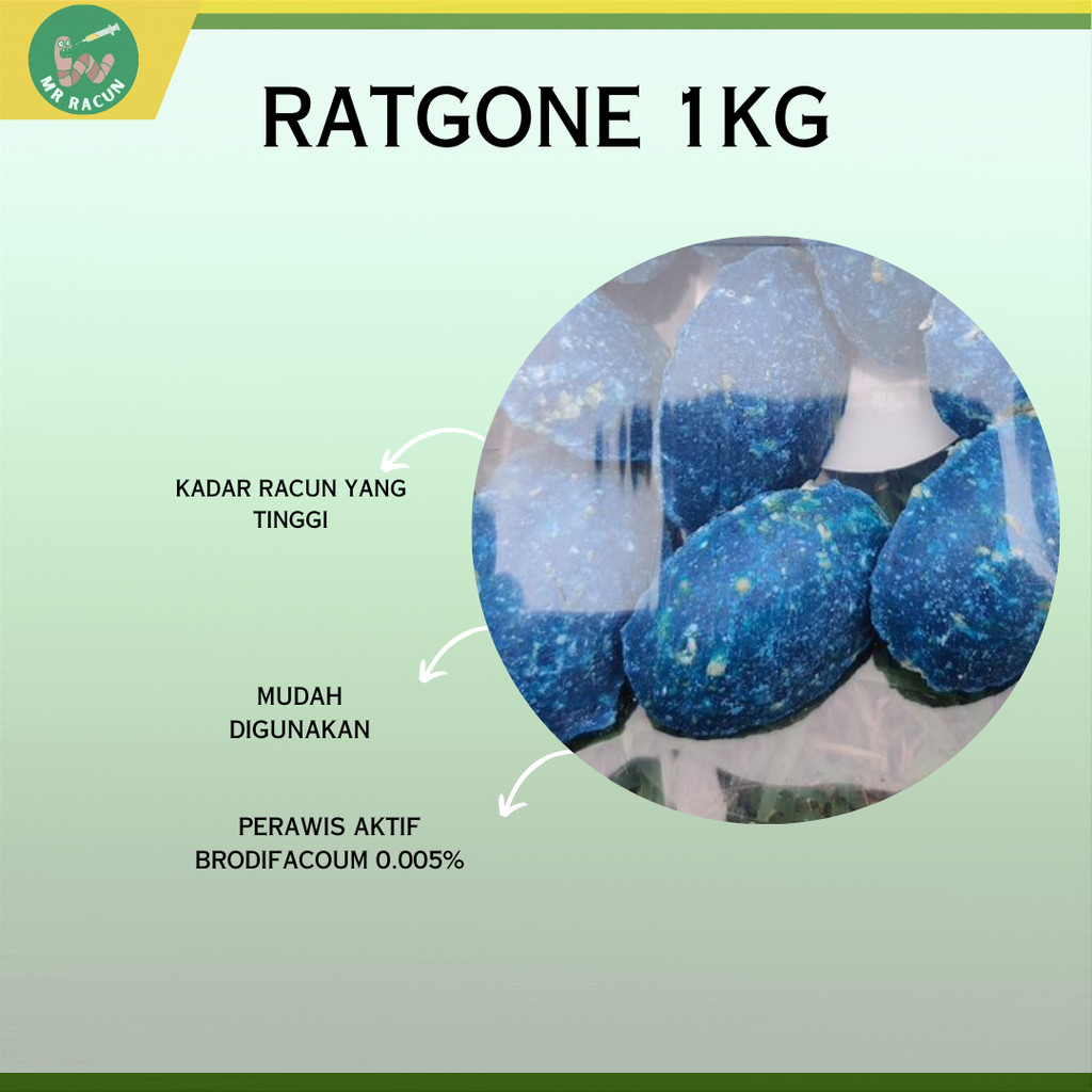 Rat poison RATGONE 1KG racun tikus pembunuh tikus lembah bulu kasar ...