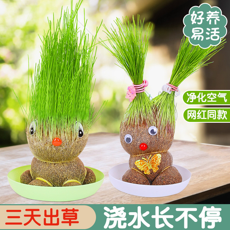 mainan baby 1 tahun mainan baby 3 bulan mainan baby Rumput tumbuh di ...