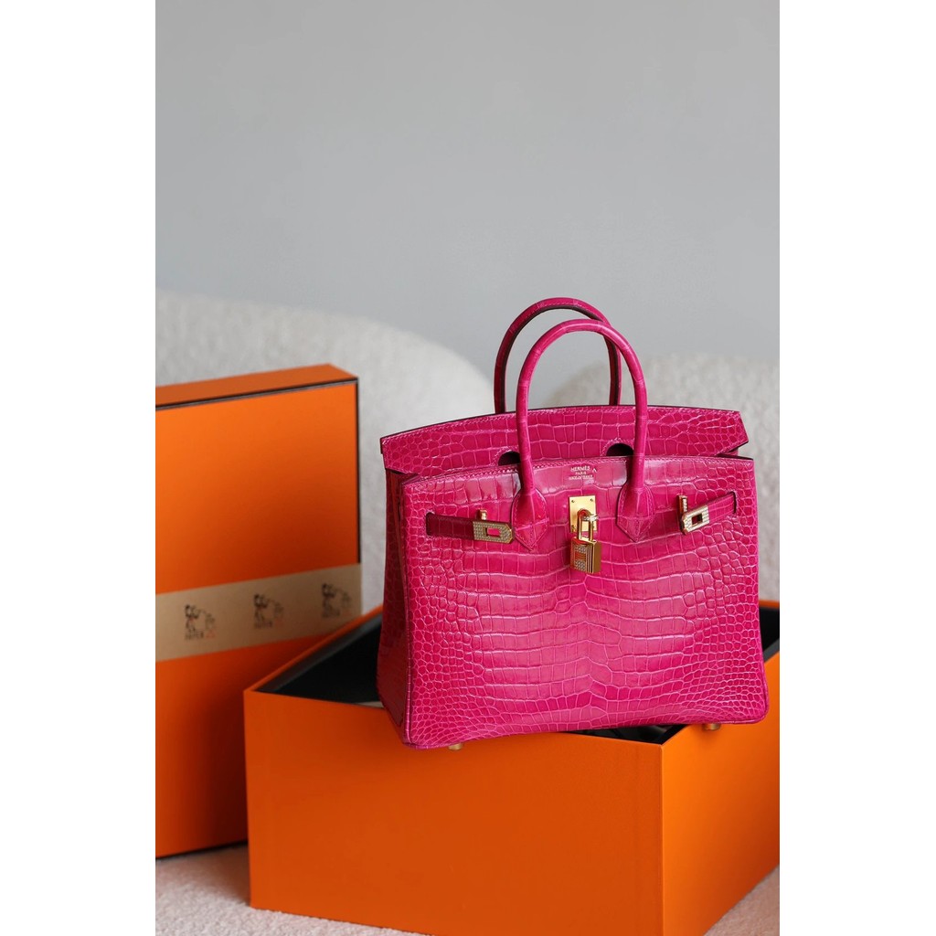 Birkin 25 Day Square Night Tan Purple Shiny Bay Crocodile Diamond ...