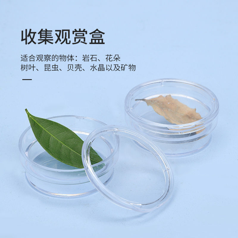 Insect Observation Box Magnifying Glass Children Science Small ...