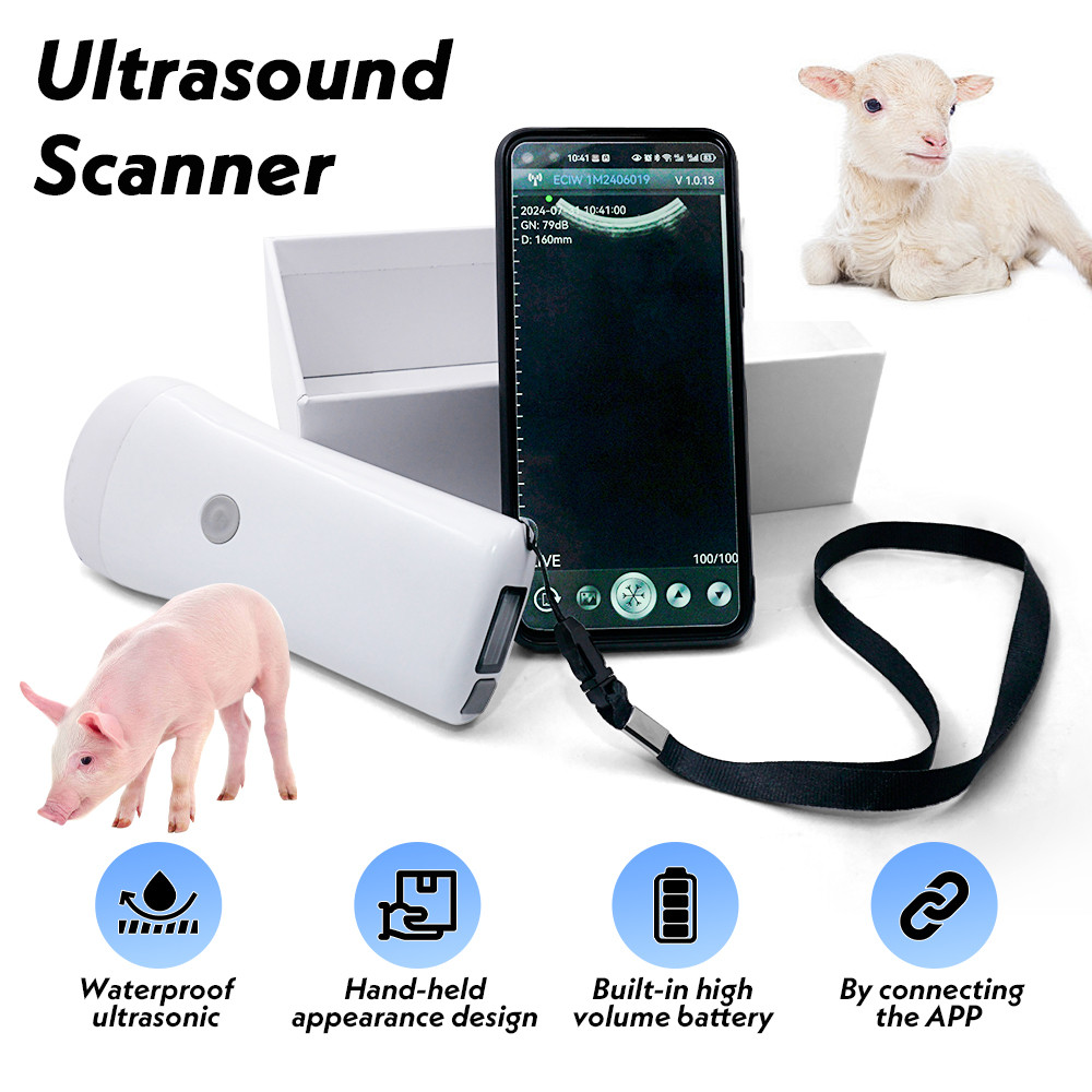 Wireless Veterinary Ultrasound Scanner 80 element electronics Portable ...