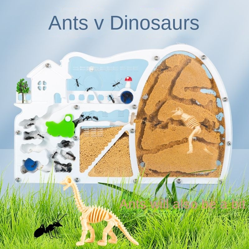 Spot goods reptile box ant nest ant house pet gate Dinosaur Observation ...