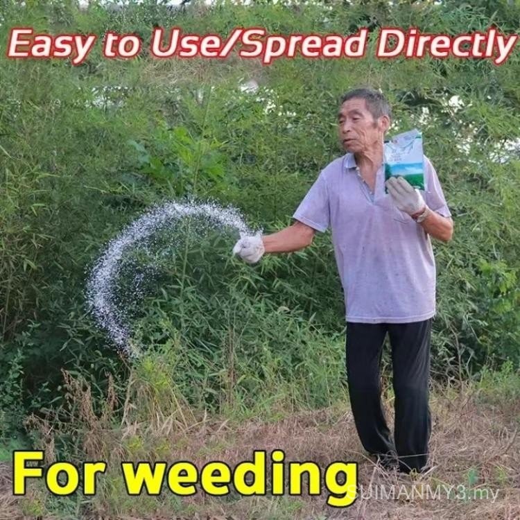 【Malay spot】alion arcun rumput parakuta Weeding，rotten tree eradicator ...