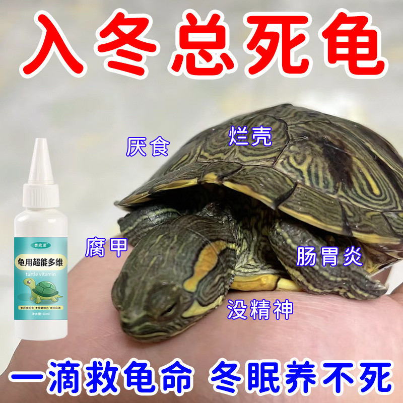 Turtles Use Electrolyzed Multi-Dimensional Anorexic Refuse Eating ...