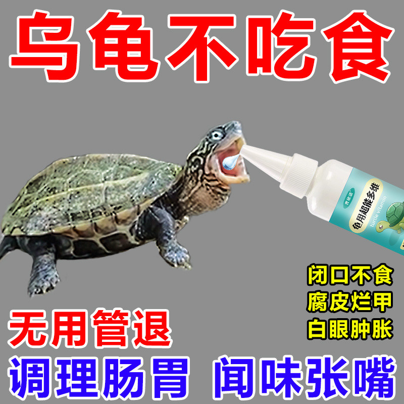 Turtle Anorexia Refuse Food Powerless Moving Energyless Soft Shell ...