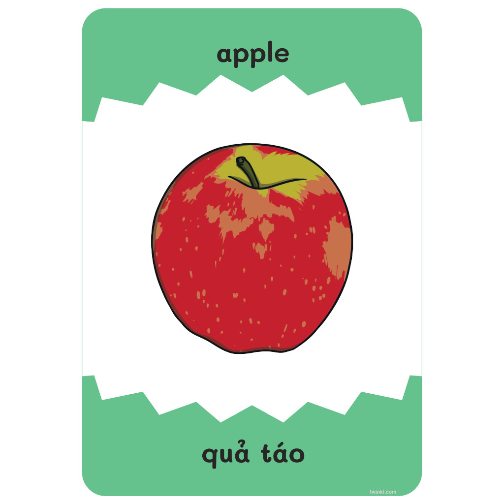 FC10 Flashcards Vocabulary Learning Cards for Fruits in English ...
