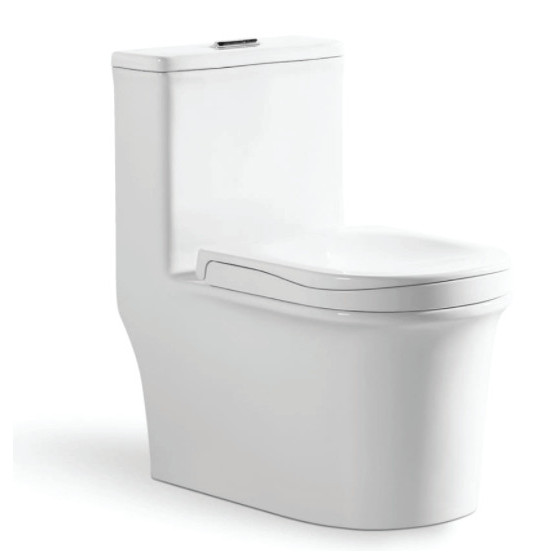 Saniware One Piece WC Toilet Bowl S-Trap Wash Down Water Closet 10 Inch ...