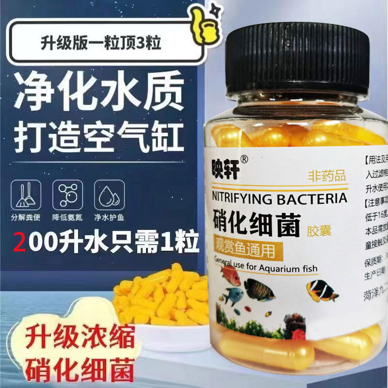 Nitrification Bacteria Capsules Fish Tank Remove Fishy Odor Purify ...