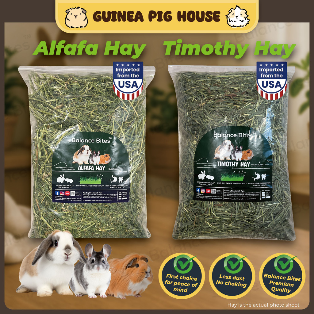 Balance Bites Premium Alfafa Hay & Timothy Hay & Orchard Hay USA 1KG ...