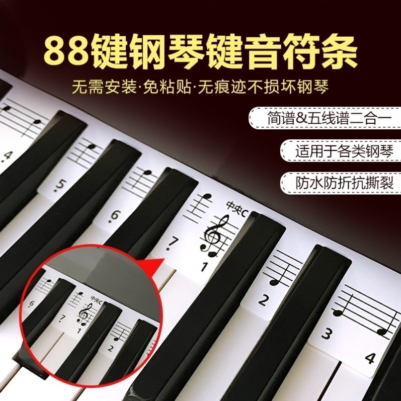 Piano Keyboard Sticker Electronic Keyboard Phonetic Label Sticker 88 ...