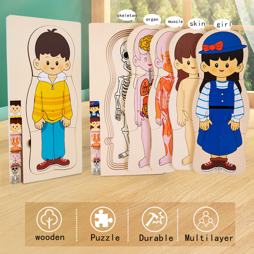 Wooden Human Body Puzzle Montessori Boys Girls Multi-Layer Body ...