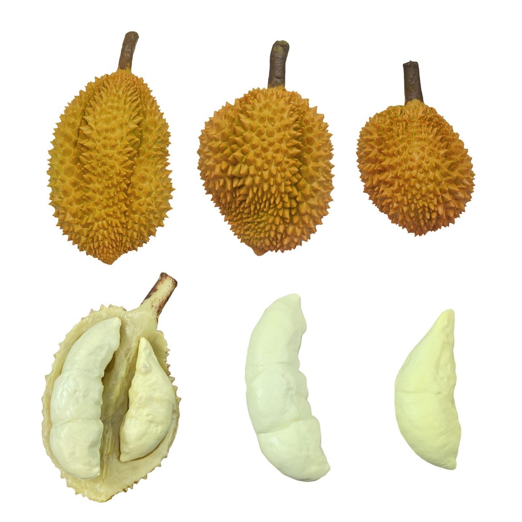 [uguuiya] Artificial Durian Simulation Fruit Decorative Lifelike Table ...