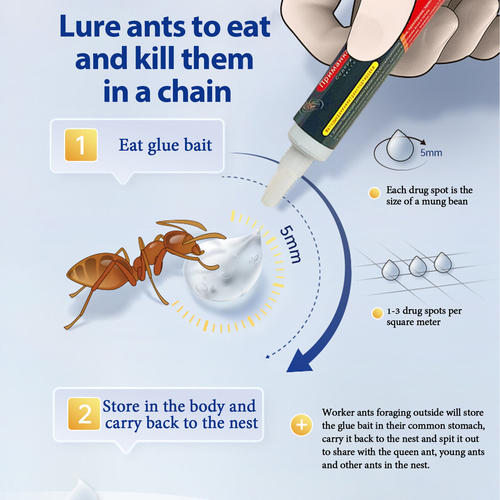 Kill ants within 100mWB Ants killer bait Ant killer Ant repellent 10g ...