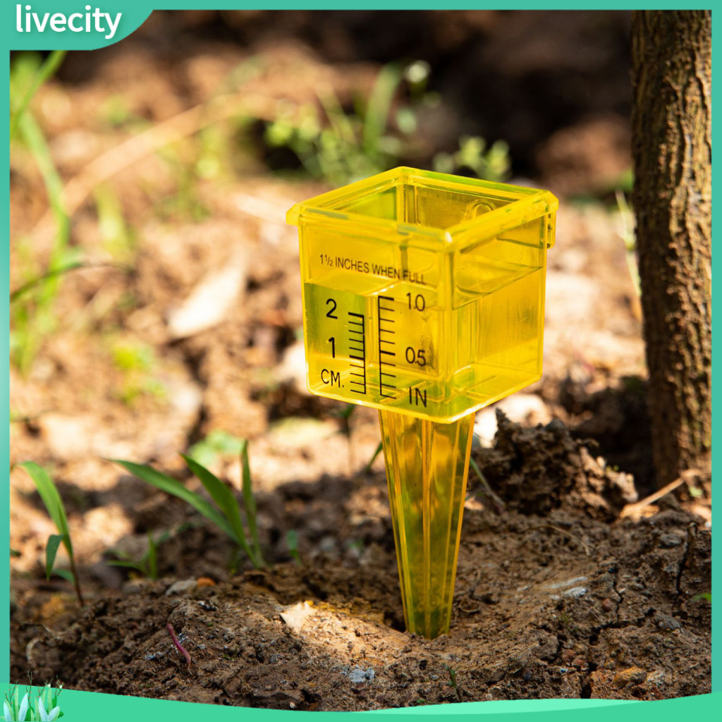 livecity| Transparent Plastic Rain Gauge Rain Gauge for Lawn 5 Pcs ...