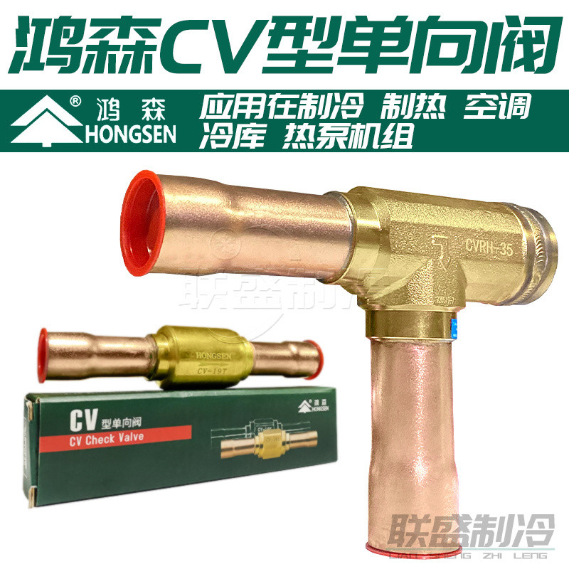 Hongsen CV Type Check Valve Right Angle Pipe Diameter Check Valve Air ...