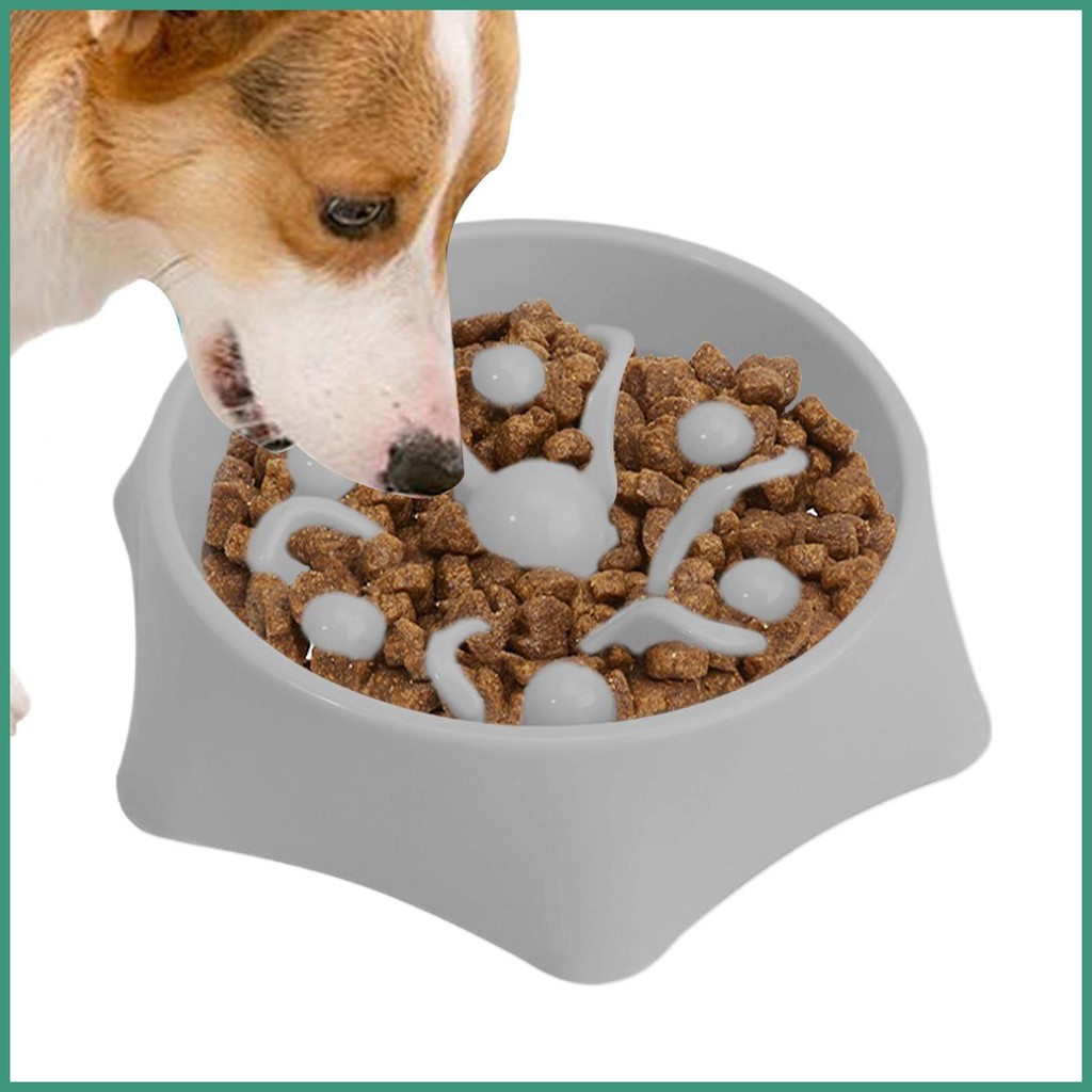 Slow Feeder Dog Bowls Bloat Stop Maze Dog Dishes Non-Slip Dog Puzzle ...