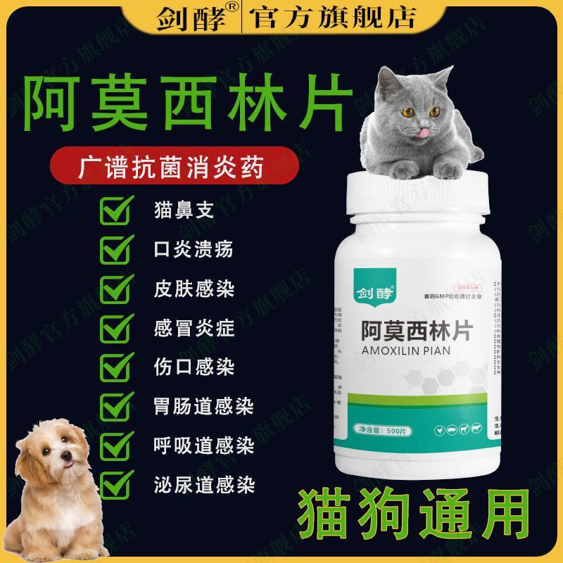Ready Stock Veterinal Amosilin Tablets Pets Cats Dogs Chicken Tablets ...