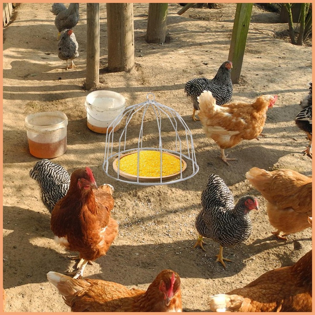 Poultry Feeder Cover Poultry Feeder For Cage Cover No Clutter Duck ...