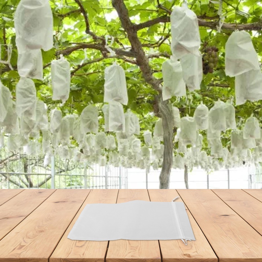 100 Pcs Fruit Protection Bags Fruit Netting Bags for Fruit Trees with ...