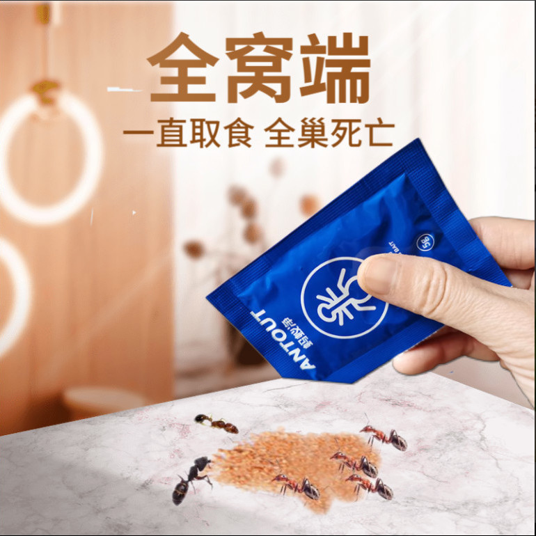 Shanjia Brand Ants Household Whole Nest Infection Large Small Black ...