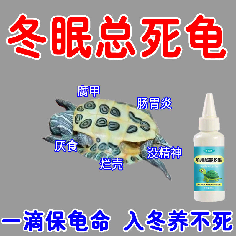 Turtles Use Electrolyzed Multi-Dimensional Anorexic Refuse Eating ...