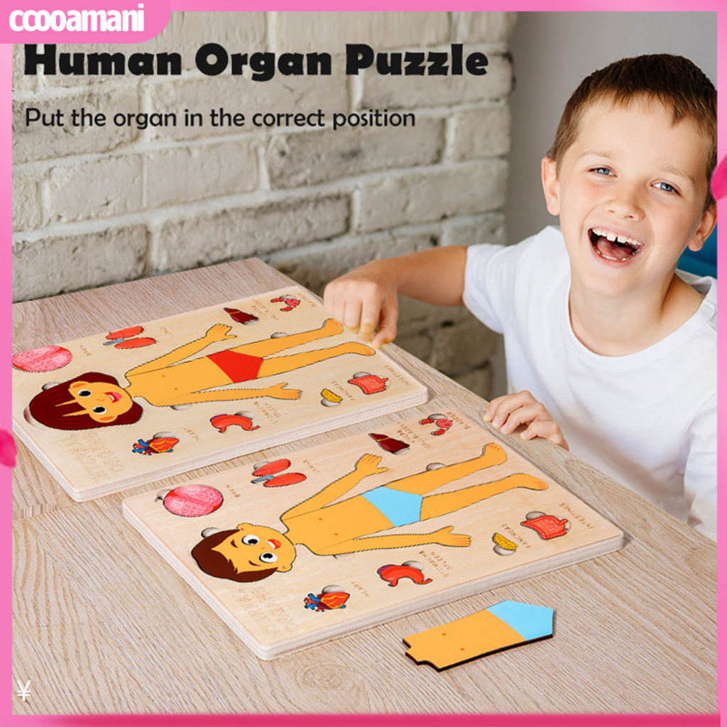 ccooamani| Educational Anatomy Puzzle Wooden Body Puzzle Wooden Body ...